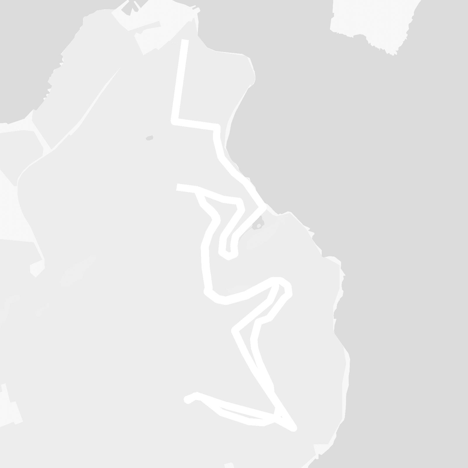 Race Trace // Celebrate your Race Results